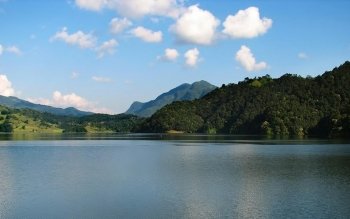 Download Nature Lake PFP