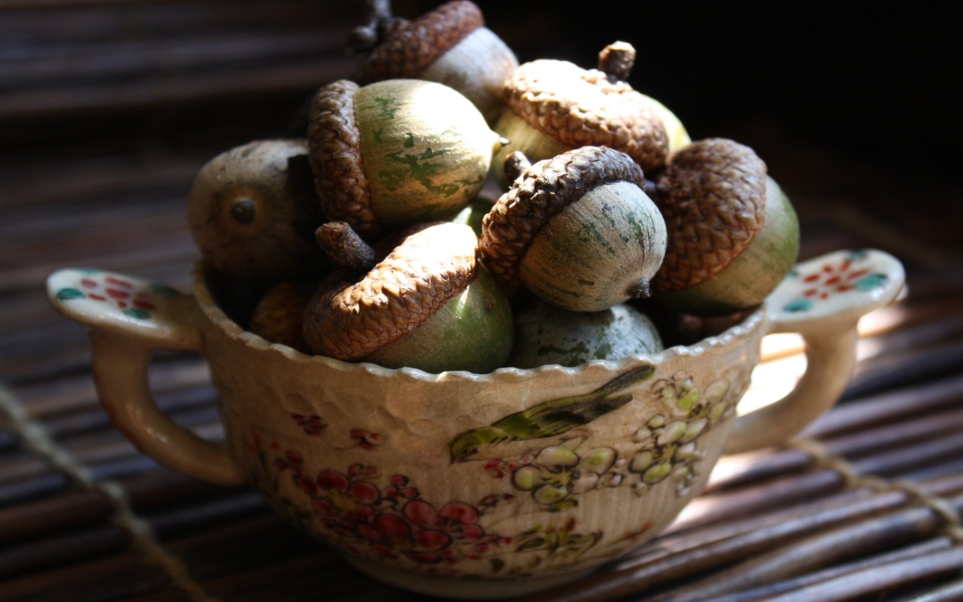 Download Nature Acorn HD Wallpaper