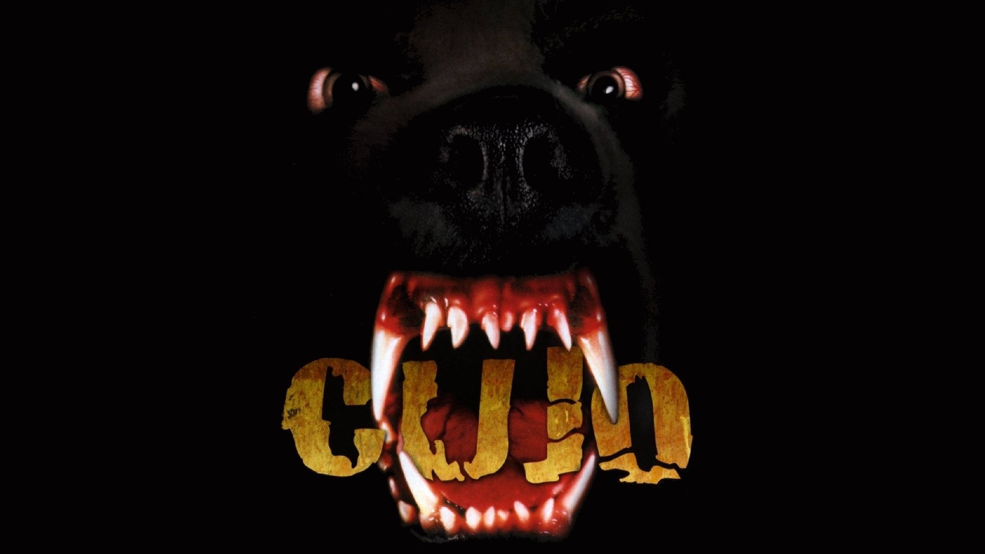 Download Movie Cujo HD Wallpaper