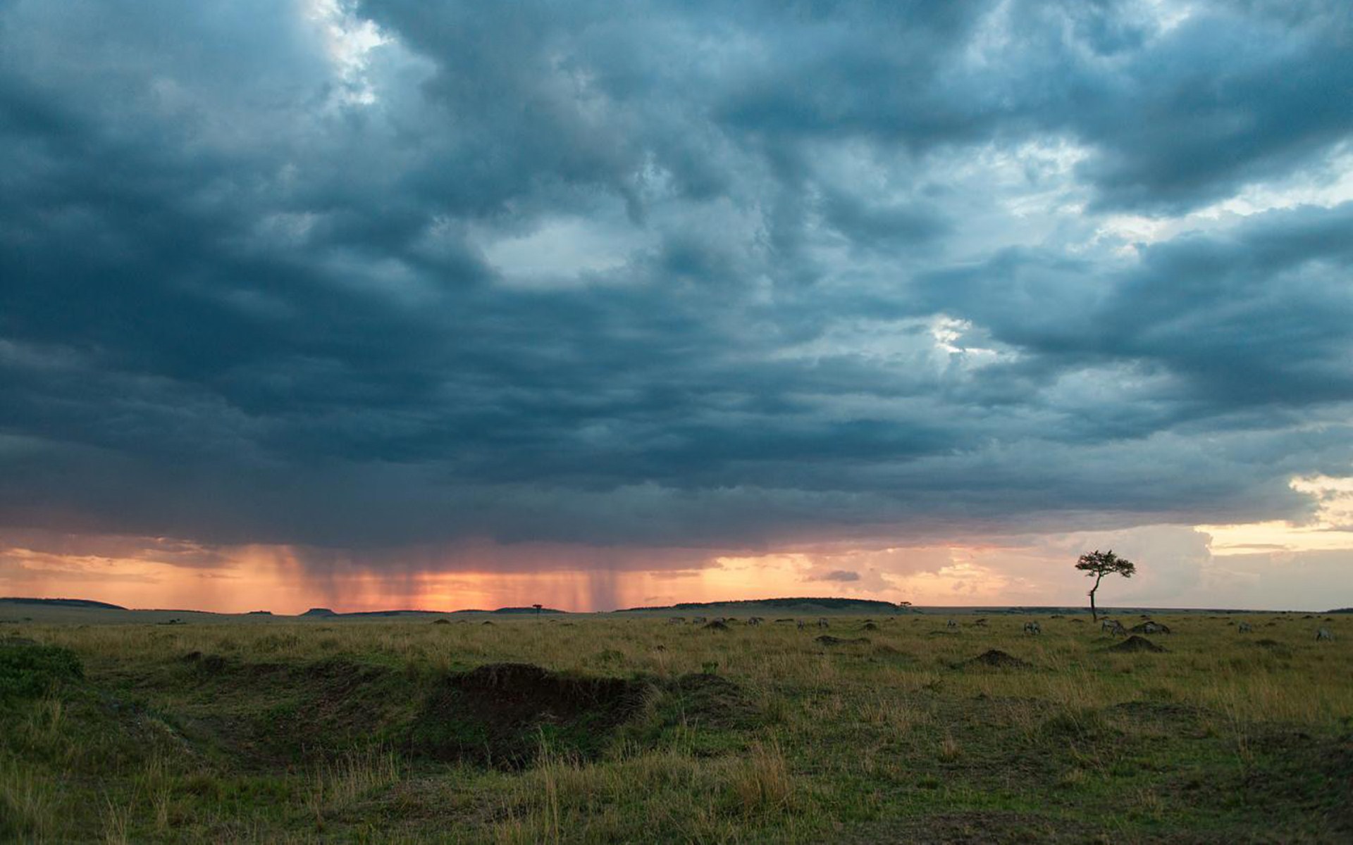 Download Nature Storm HD Wallpaper