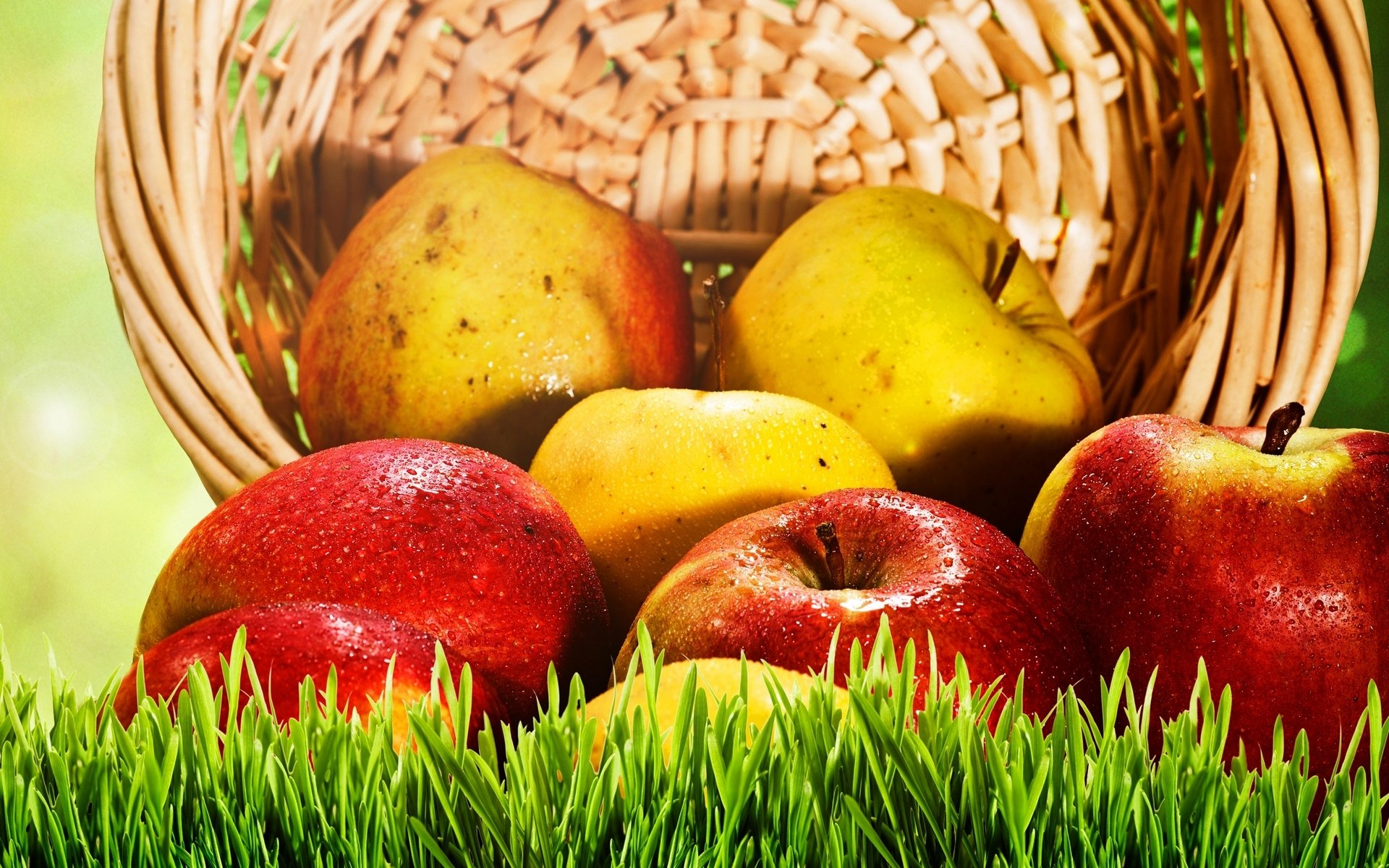 Download Food Apple HD Wallpaper