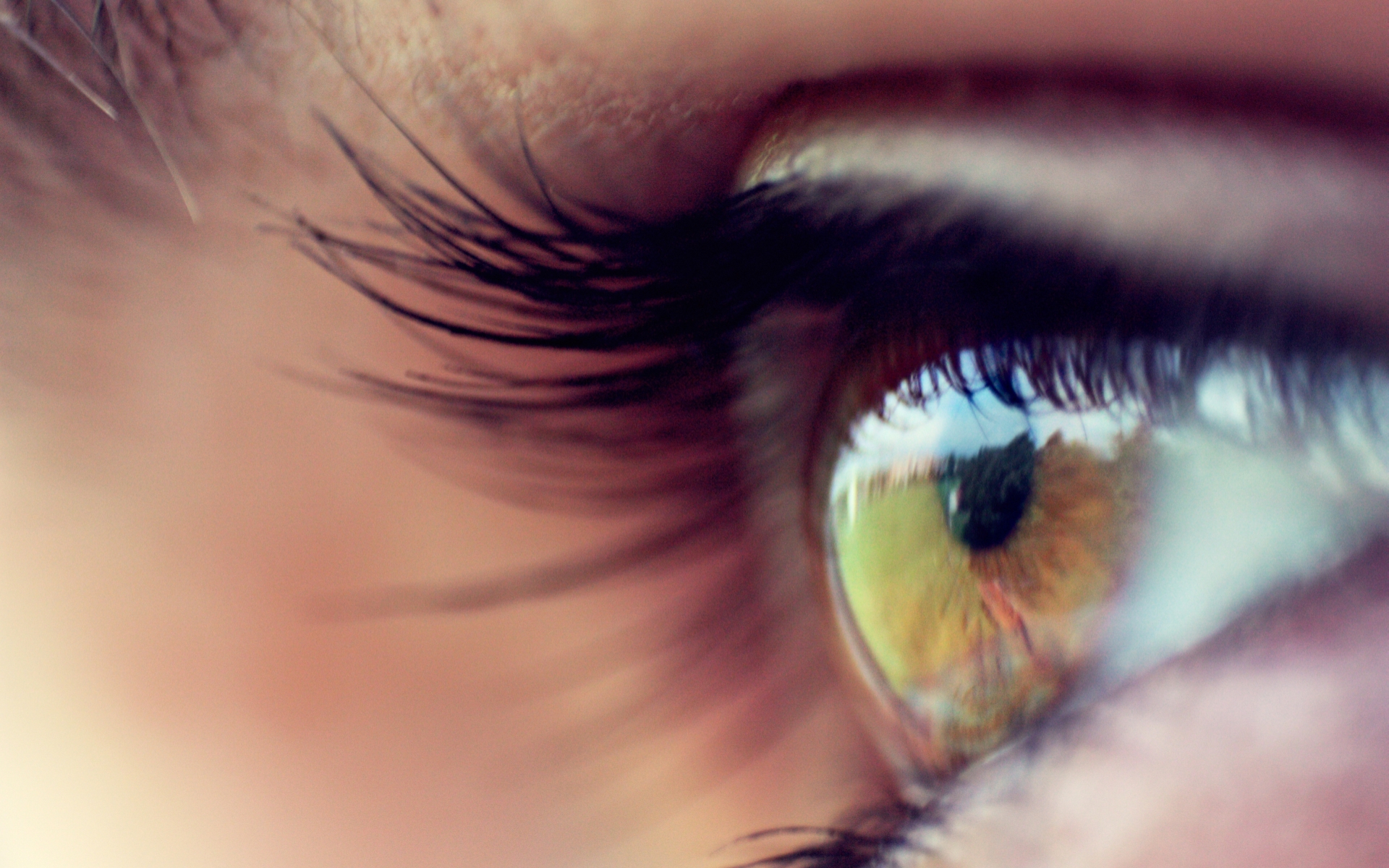 Download Woman Eye HD Wallpaper
