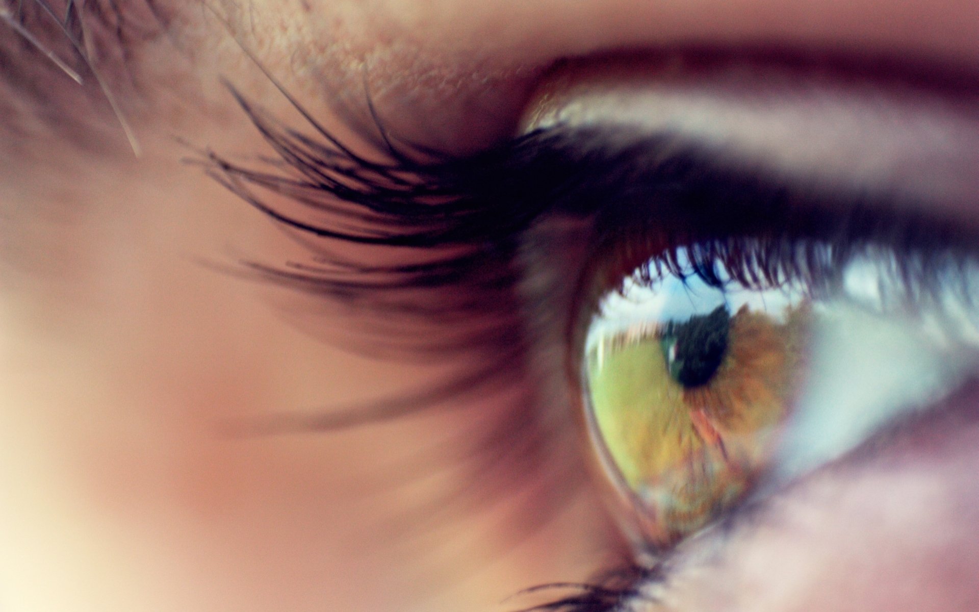 Gilded Gaze / Emerald Gaze / Lashes in Focus / Woman's Eye HD ...