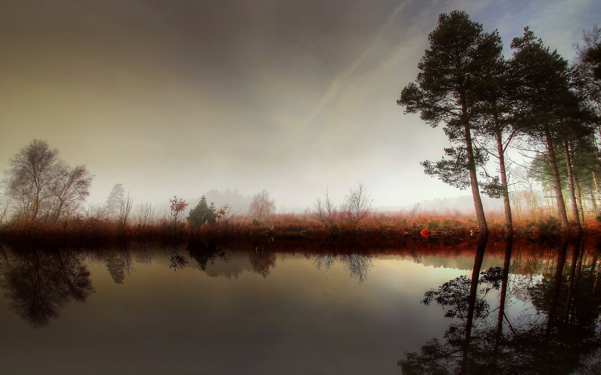 Nature Reflection HD Wallpaper