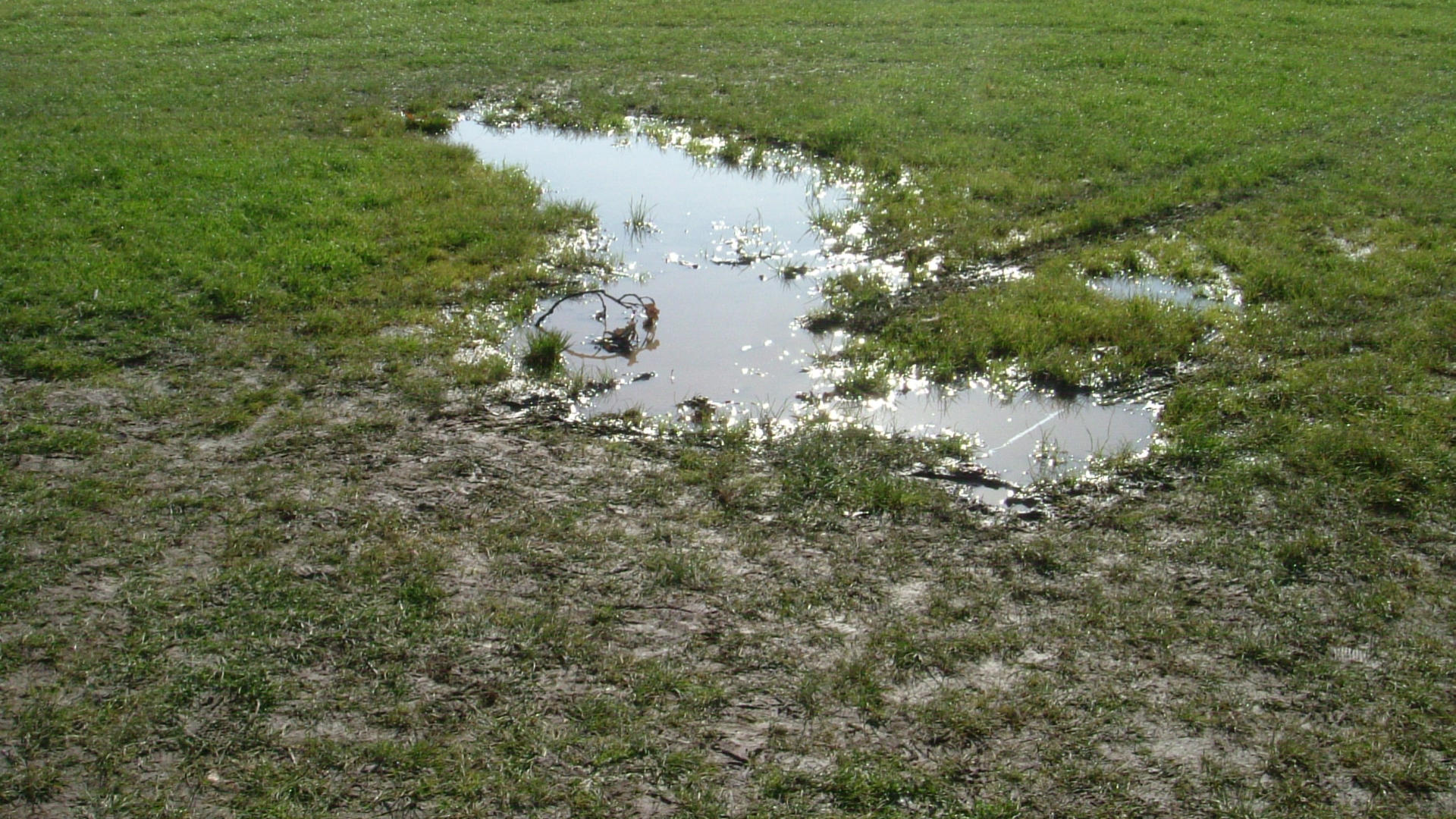 Nature Muddy Field HD Wallpaper