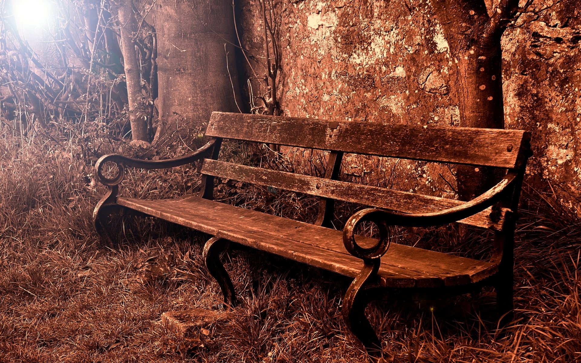 Download Man Made Bench HD Wallpaper | 1920x1200 | Wallpaper Abyss