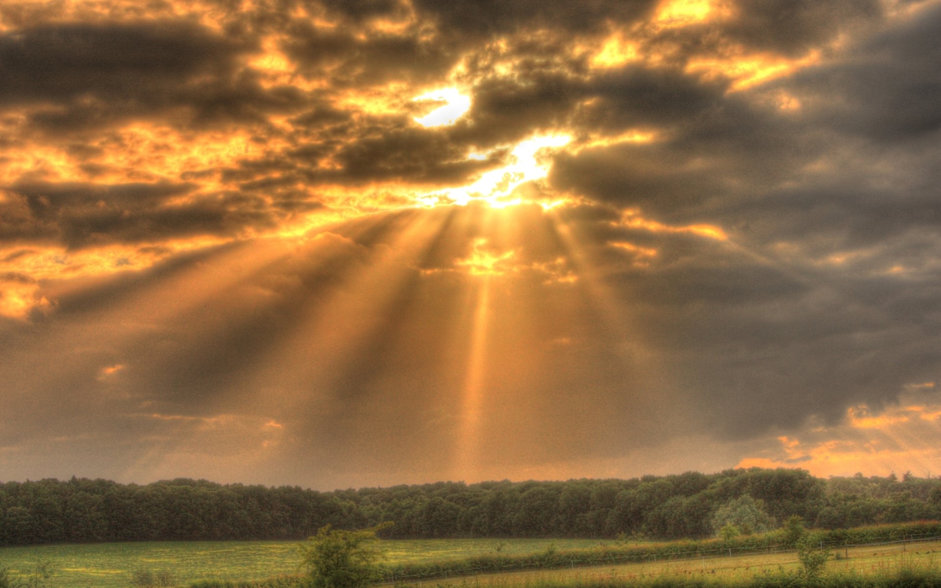 Sunbeam Full HD Wallpaper And Background Image 2560x1600 ID 499428