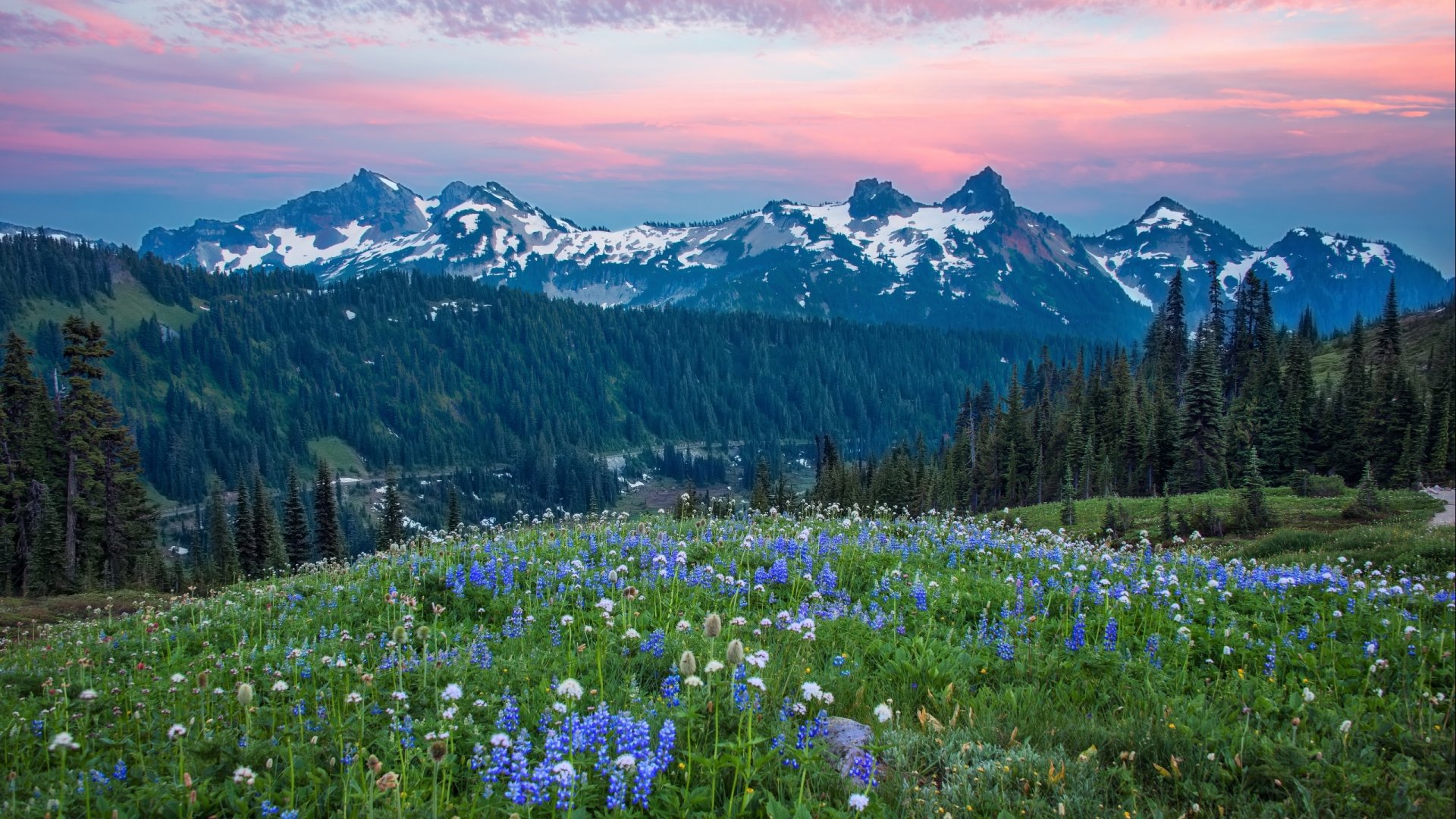 Stunning Nature: HD Mountain Wallpaper | 2560x1440 | Wallpaper Abyss