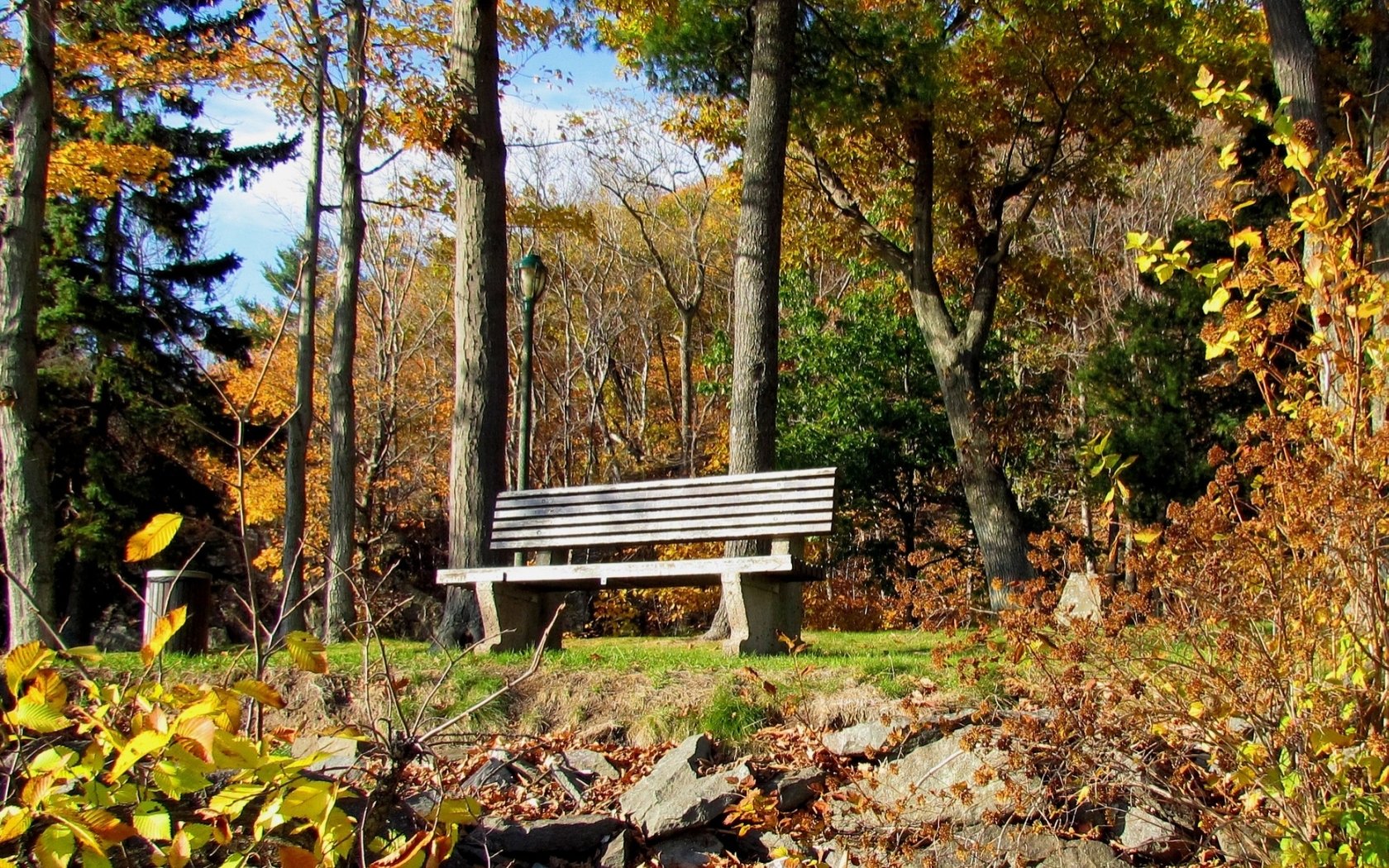 Download Man Made Bench Wallpaper