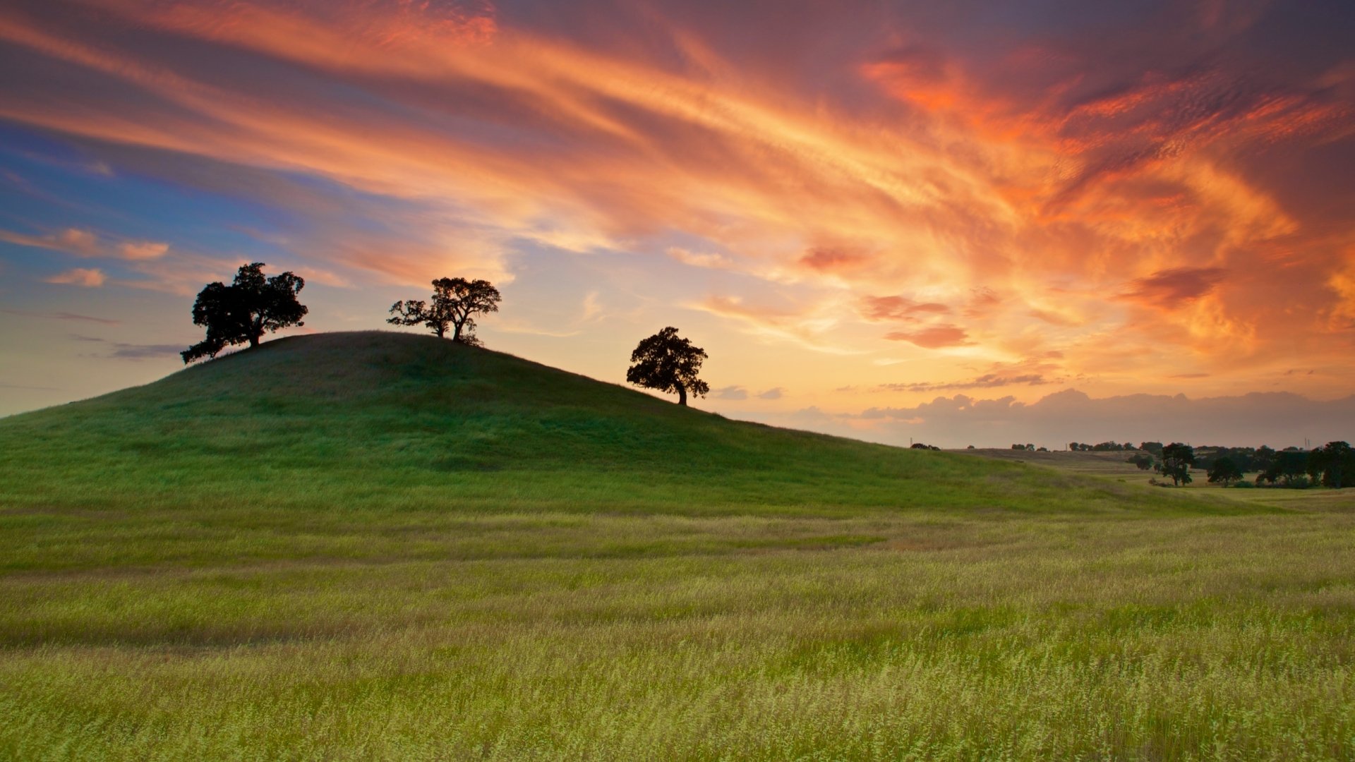2K Quad HD: Sunset Over Rolling Green Fields | 2560x1440 | Wallpaper Abyss