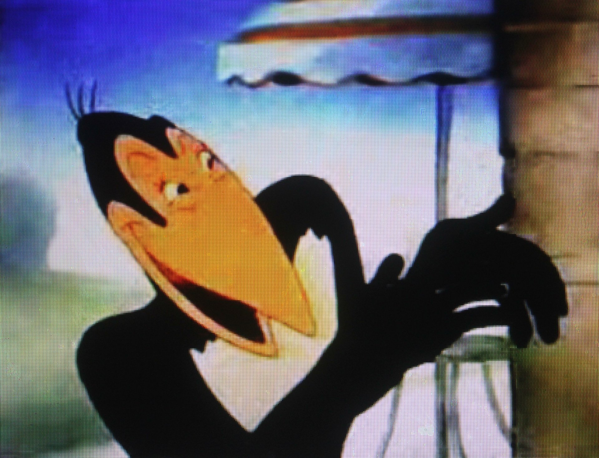 Download TV Show Heckle And Jeckle 4k Ultra HD Wallpaper