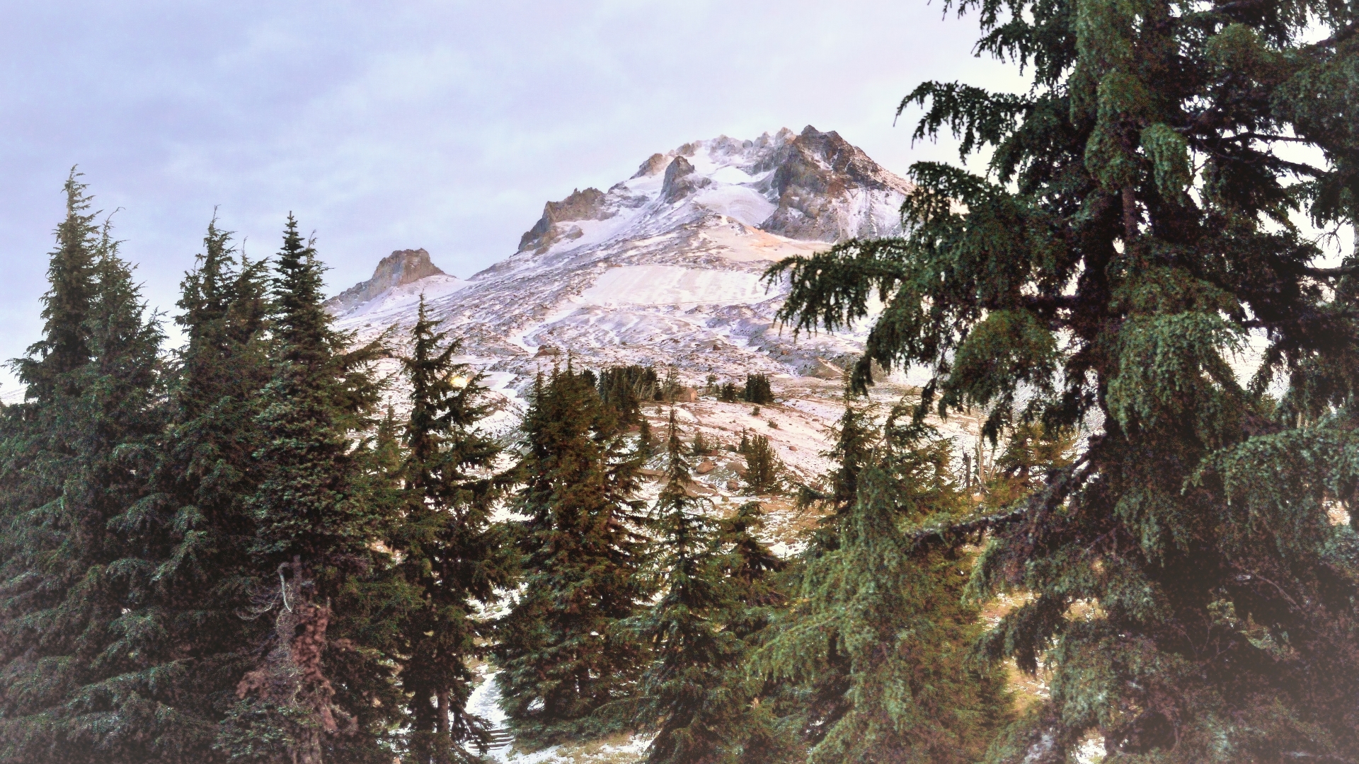 Nature Mount Hood HD Wallpaper