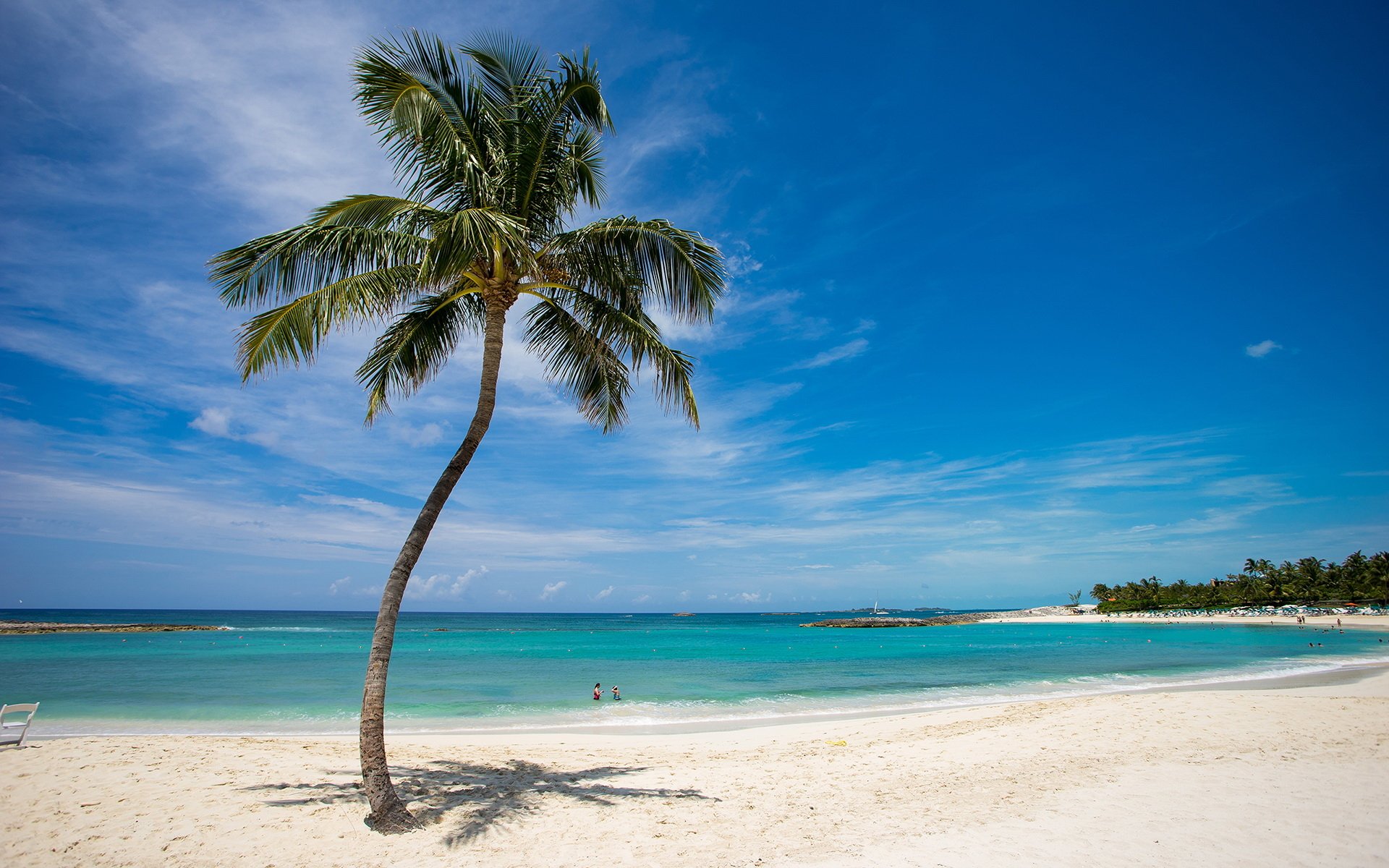 Download Nature Beach HD Wallpaper | 1920x1200 | Wallpaper Abyss