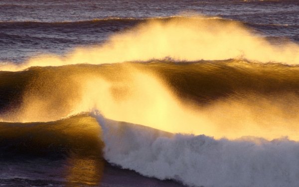 [10+] Tide Wallpapers