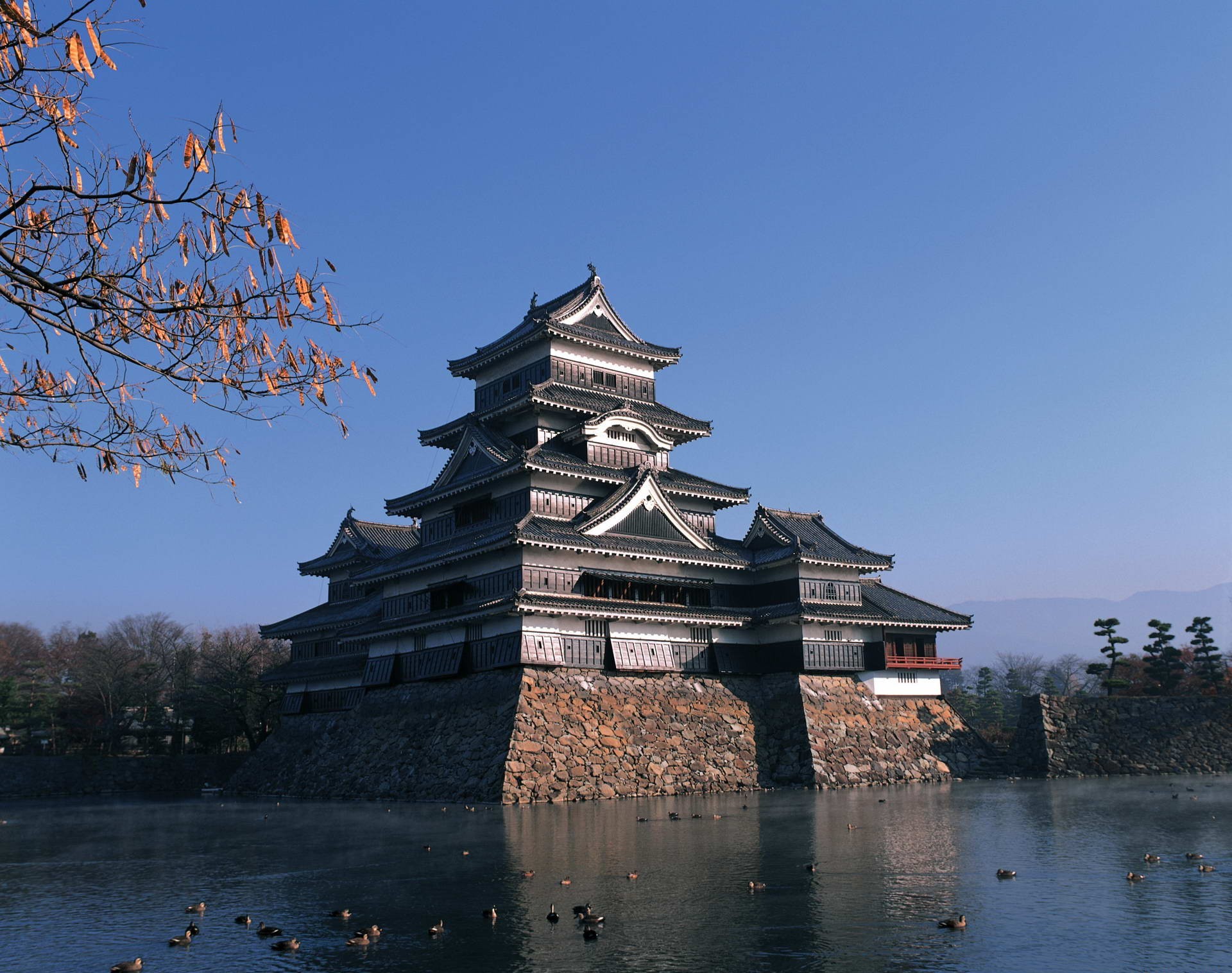 Download Fall Castle Japan Man Made Matsumoto Castle HD Wallpaper