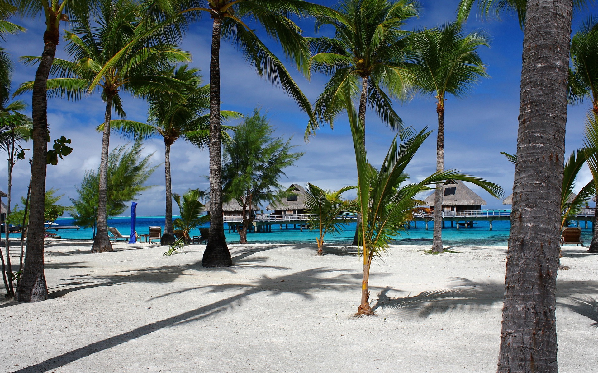 Download Photography Holiday HD Wallpaper