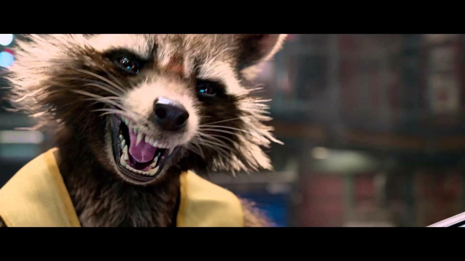 Download Rocket Raccoon Movie Guardians Of The Galaxy HD Wallpaper
