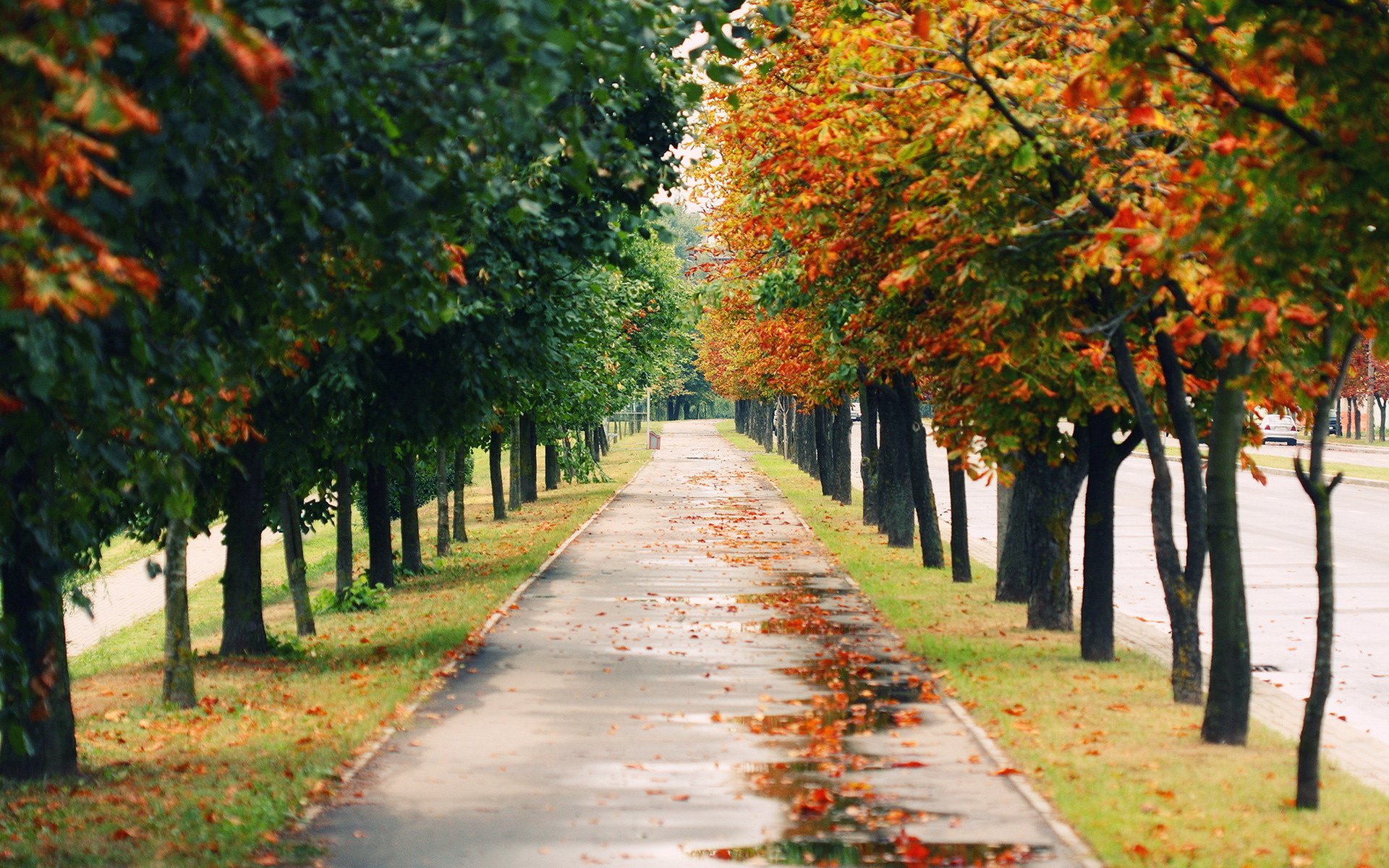 Download Man Made Path HD Wallpaper | 1920x1200 | Wallpaper Abyss