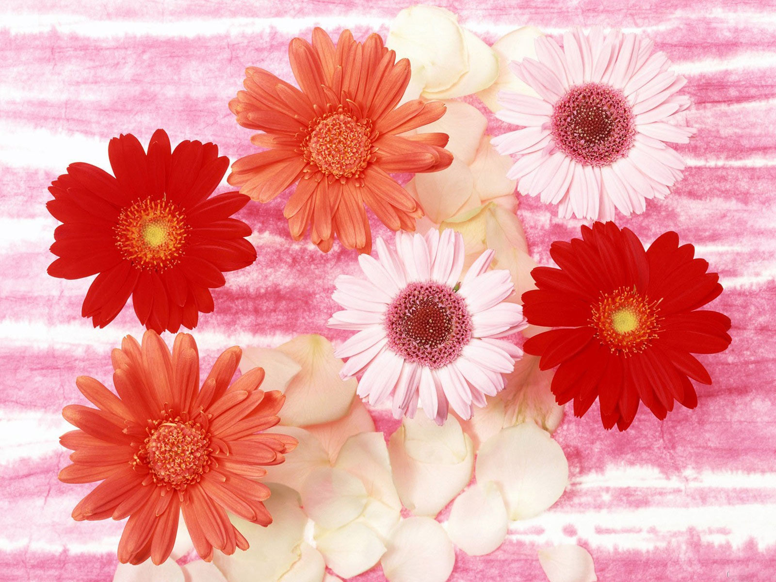 Download Artistic Flower Wallpaper