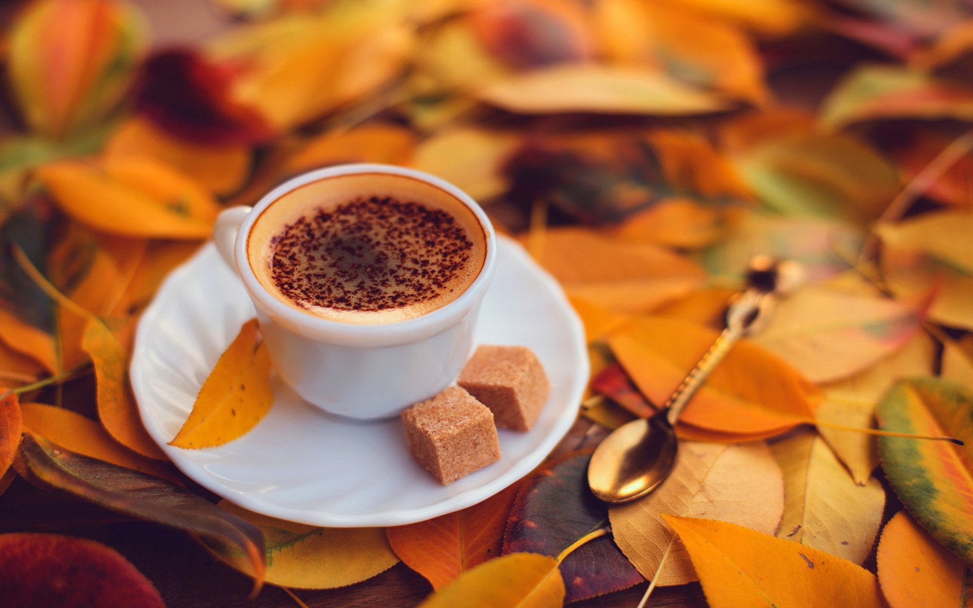 Autumn Bliss: HD Coffee & Cozy Flavors Wallpaper | 1920x1200 ...