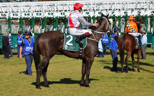 Download Racing Horse Racing Sports Wallpaper