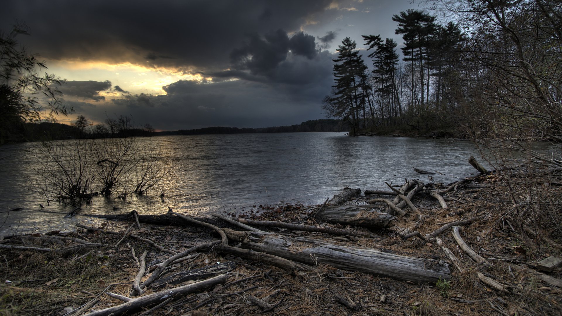 Download Nature River HD Wallpaper | 2560x1440 | Wallpaper Abyss