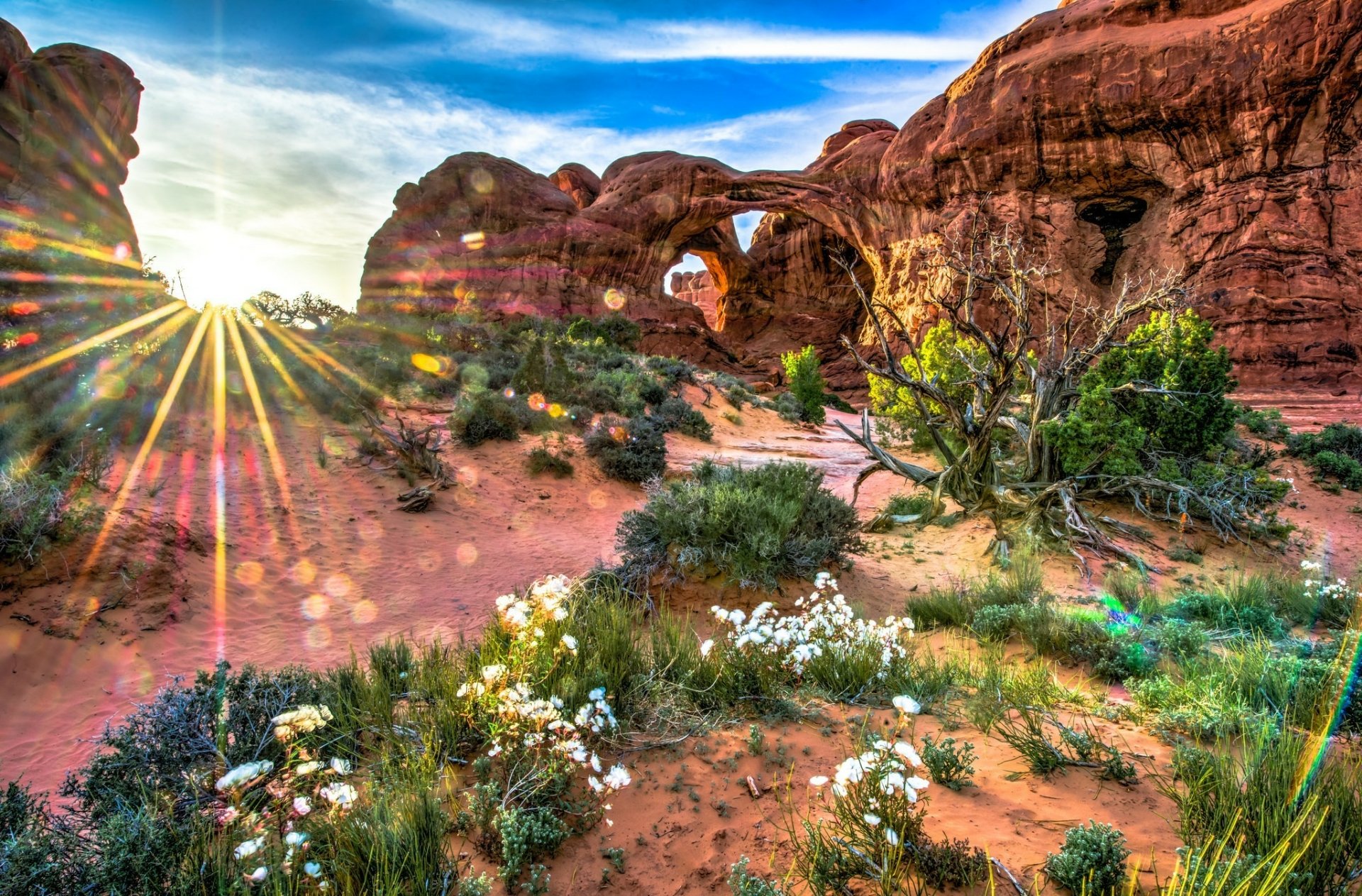 Download Sunshine Cliff Mountain Nature Sunbeam HD Wallpaper