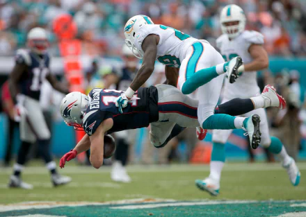 Miami Dolphins - Desktop Wallpapers, Phone Wallpaper, PFP, Gifs, and More!