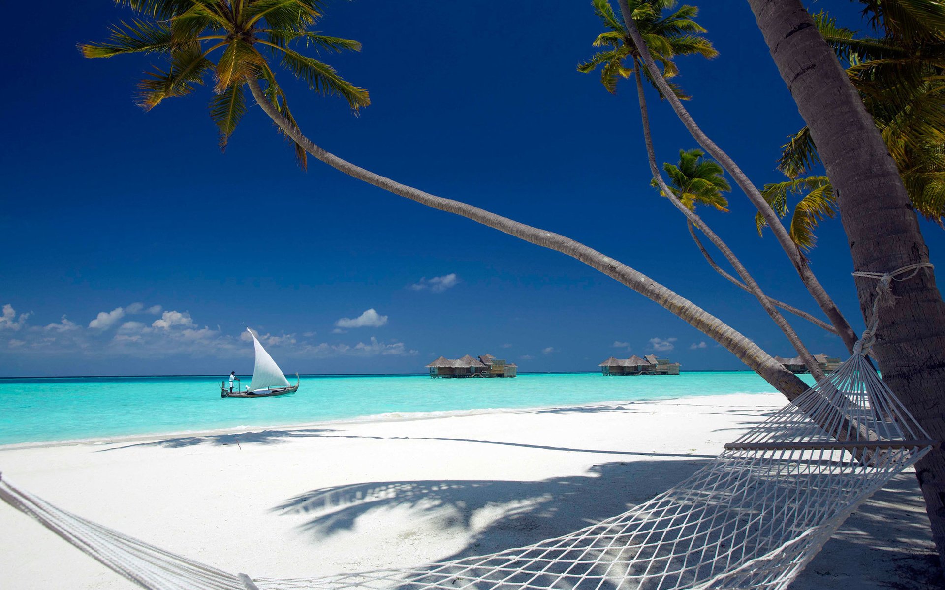 Download Photography Holiday HD Wallpaper