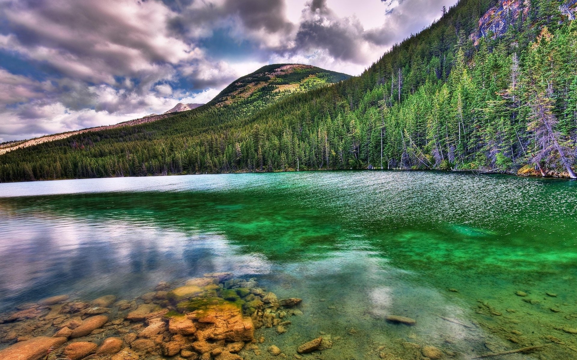 Download Nature River HD Wallpaper | 1920x1200 | Wallpaper Abyss