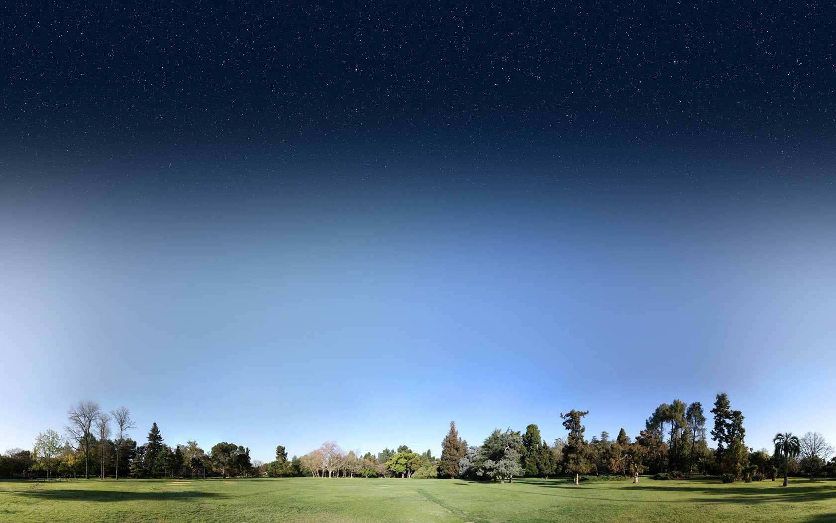 Serene Horizons: Artistic Nature in HD