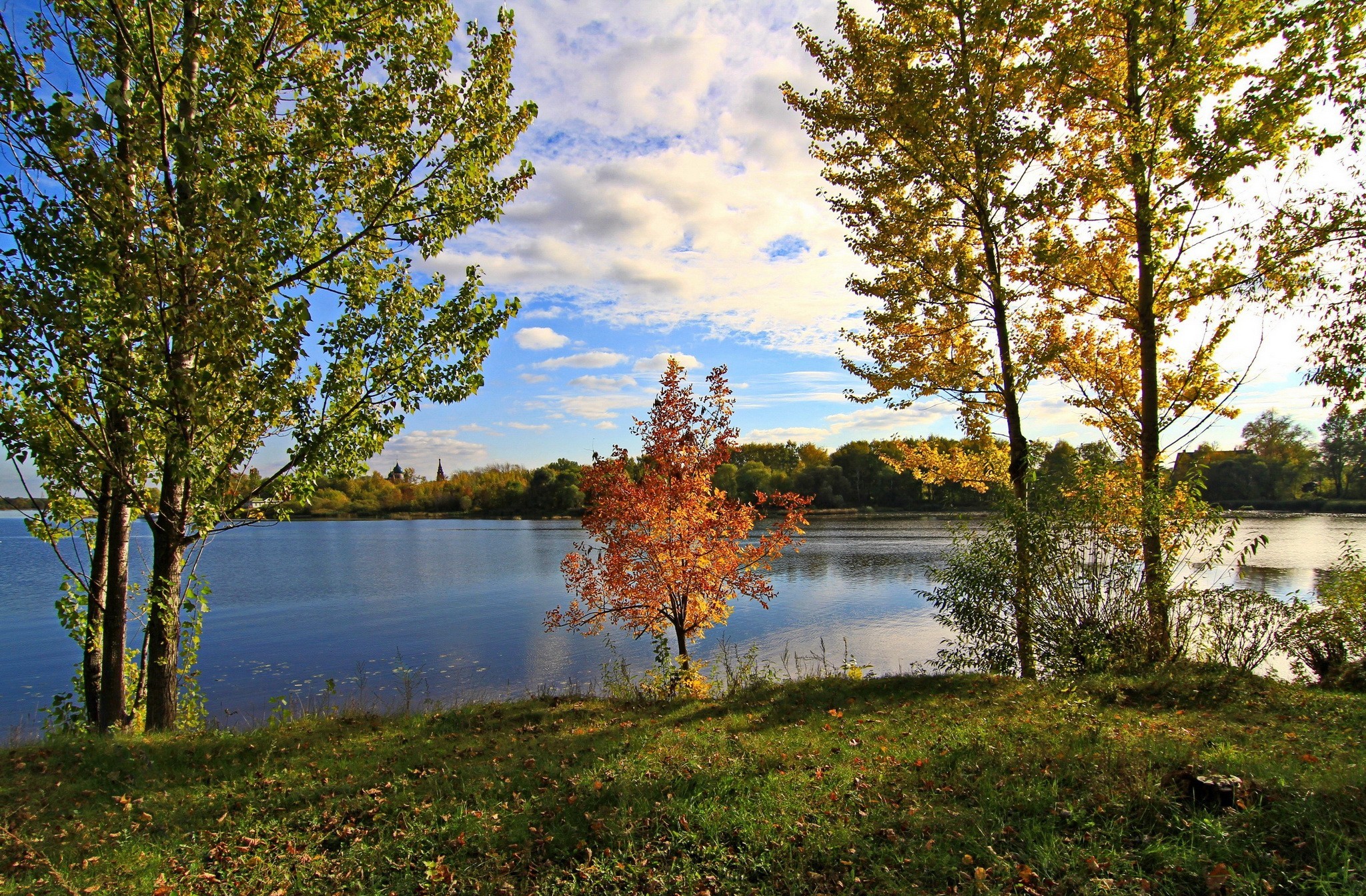 Serene Lakeside Nature: Stunning HD Wallpaper