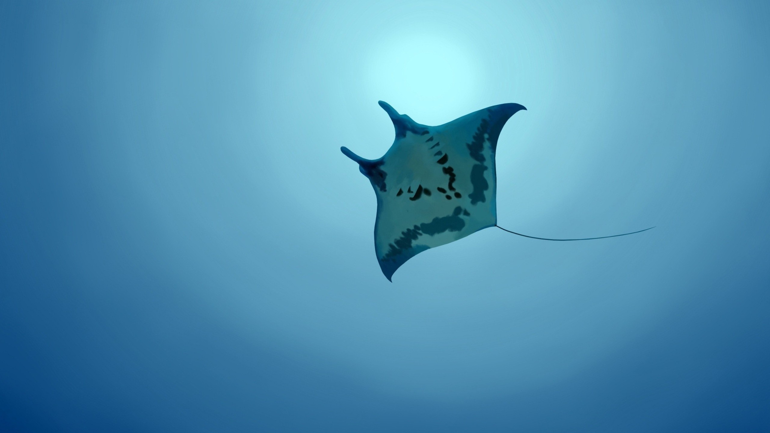 Stingray HD Wallpaper | Background Image | 2560x1440