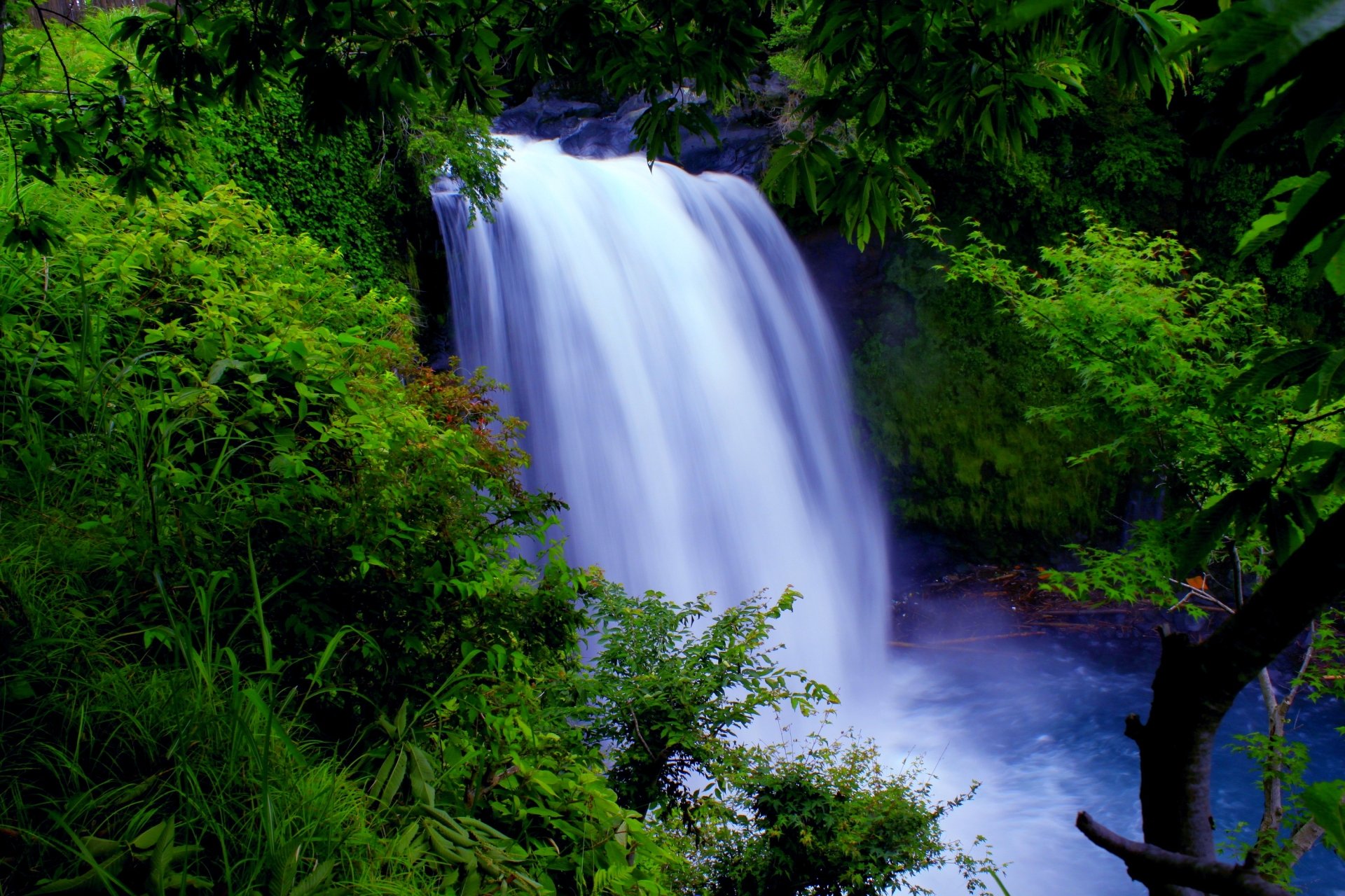 Download Nature Green Forest Waterfall HD Wallpaper