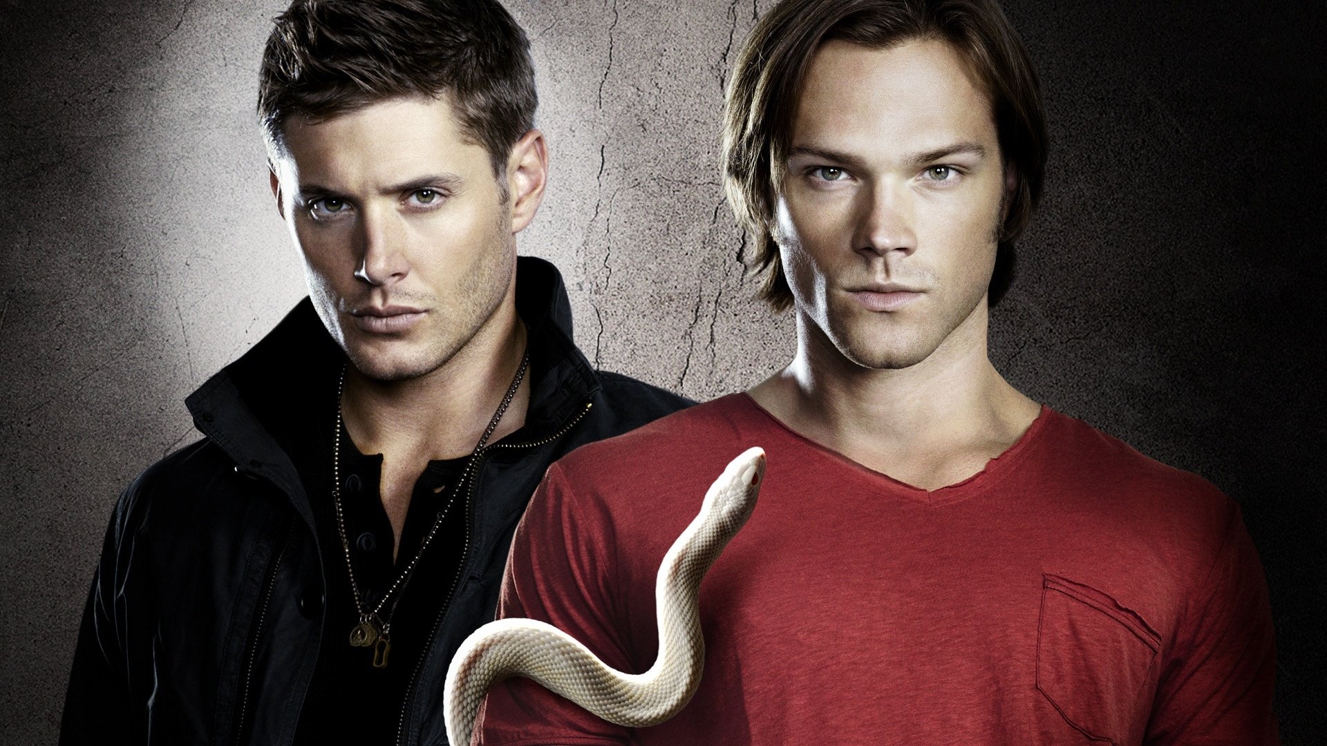 Supernatural HD Wallpaper: Shadows and Serpents | 1920x1080 | Wallpaper ...