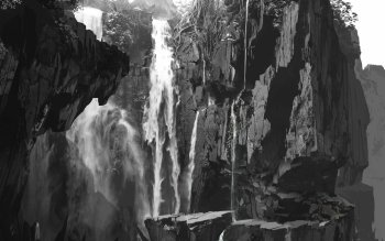 Download Video Game Uncharted 4: A Thief's End PFP