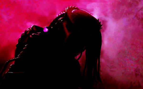 Predator Wallpaper and Background Image | 1920x1040