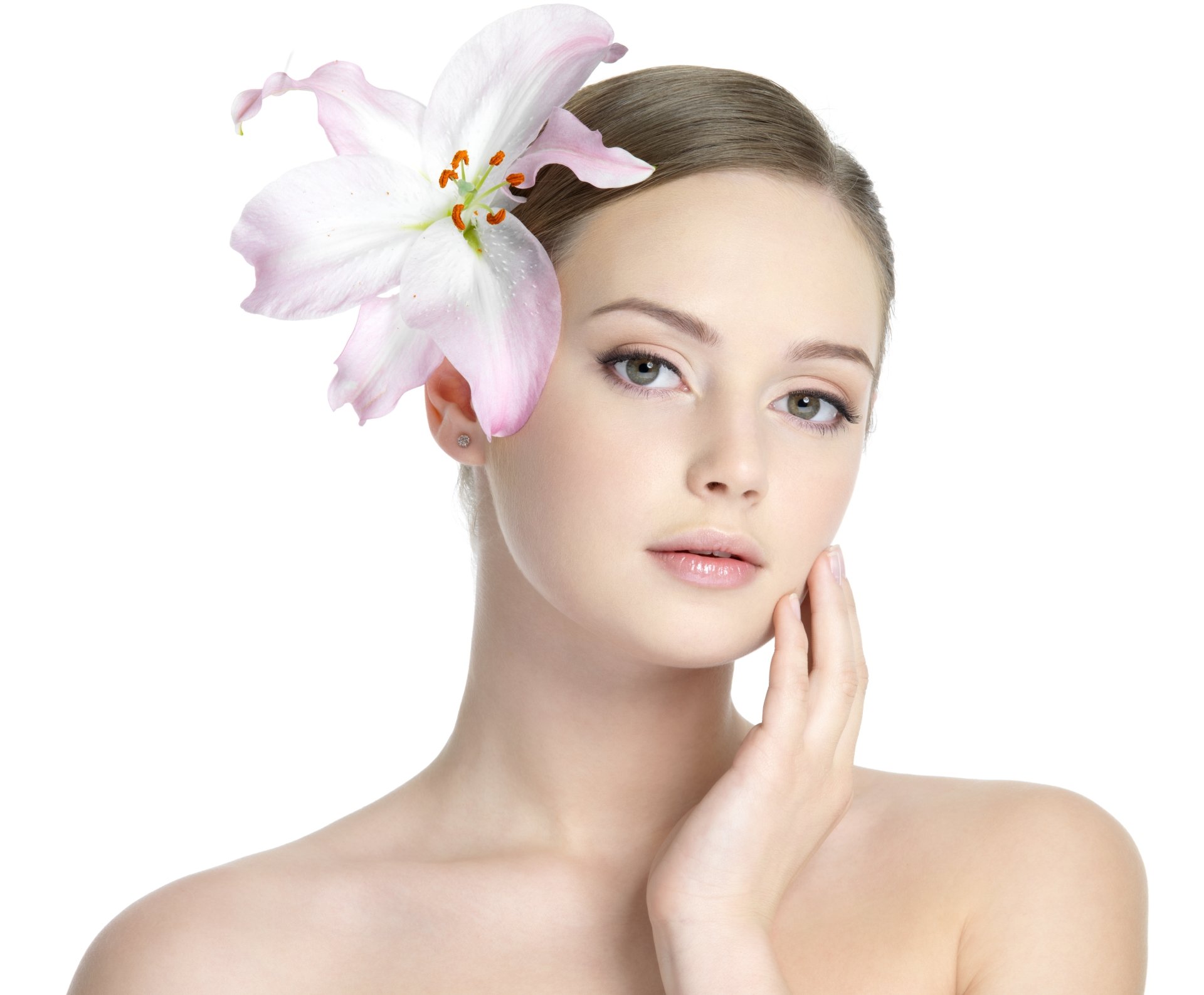 Elegant Flower Beauty - 4K Ultra HD Wallpaper