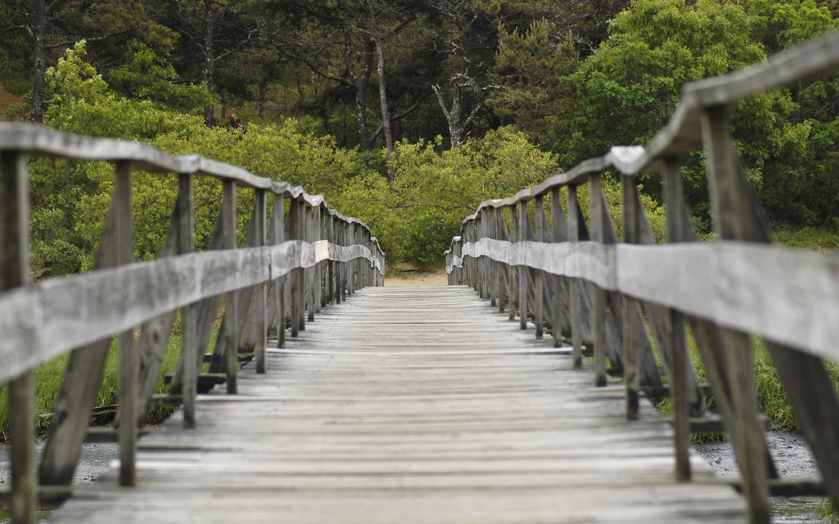 Download Man Made Bridge Wallpaper