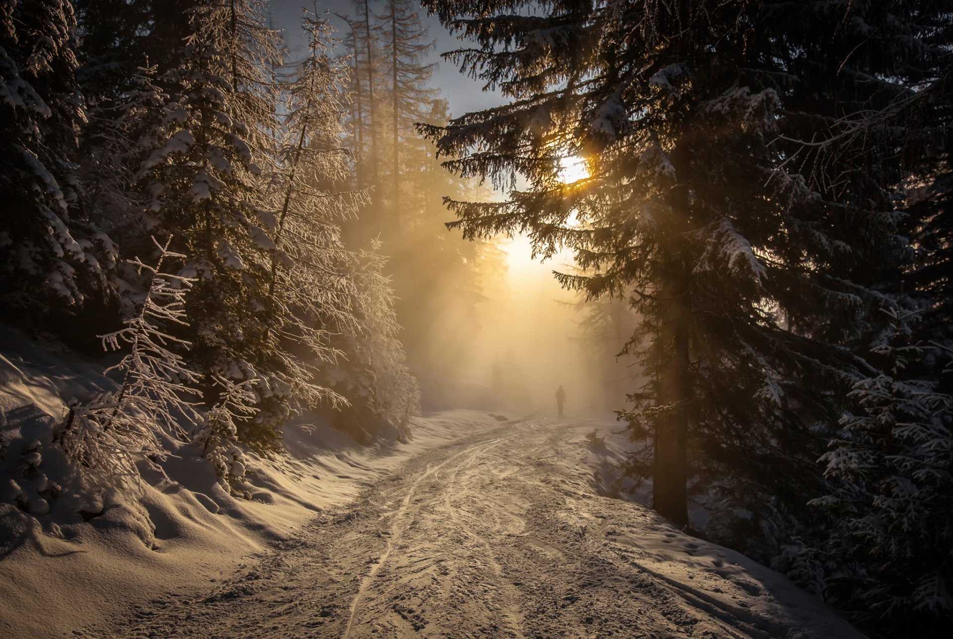 Winter Serenity: An HD Wallpaper of Nature's Light by Torsten Muehlbacher