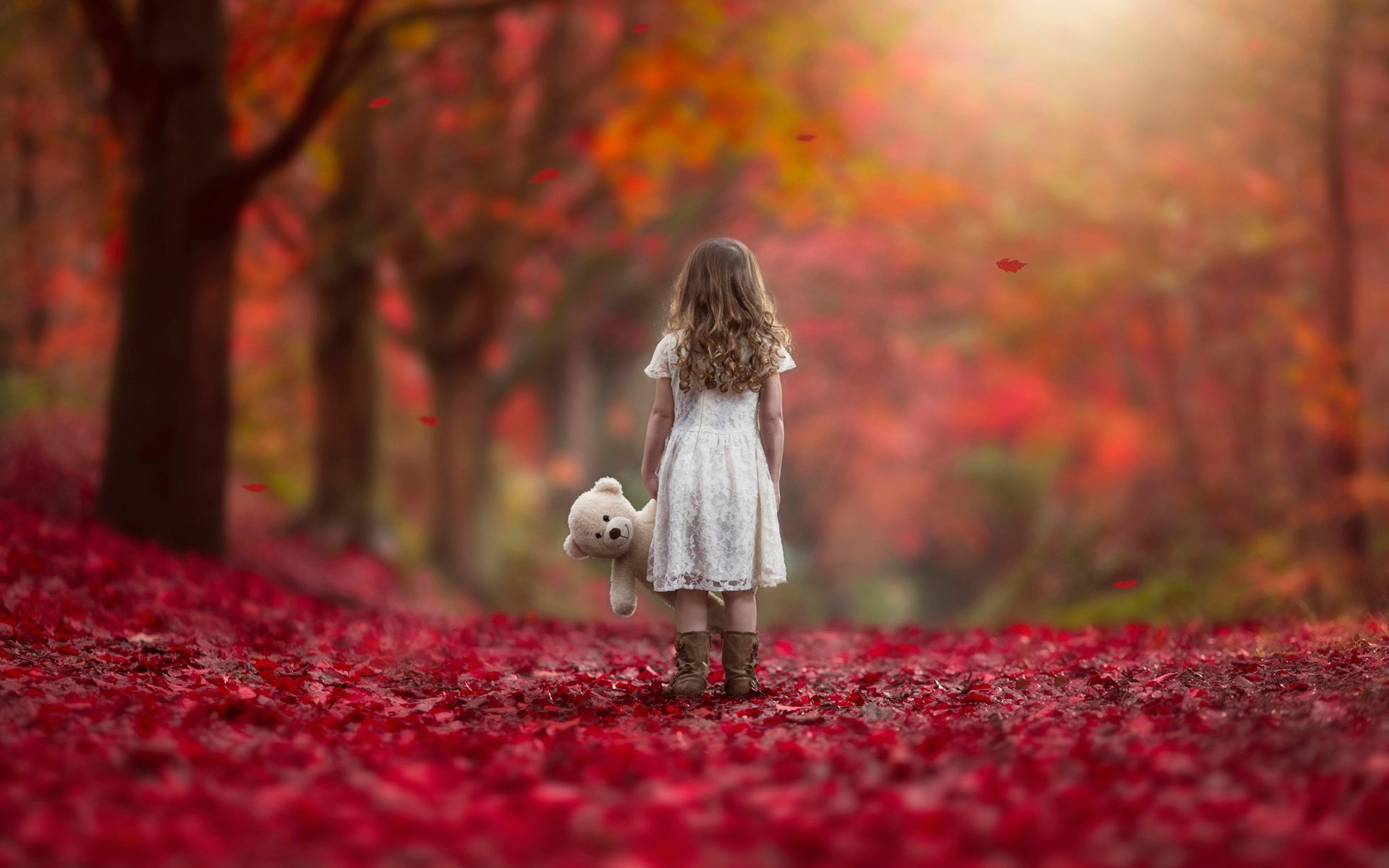 Download Leaf Fall Teddy Bear Photography Child HD Wallpaper by Rob Buttle