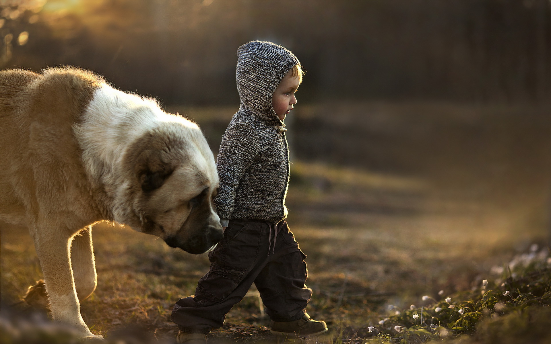 Download Photography Child HD Wallpaper