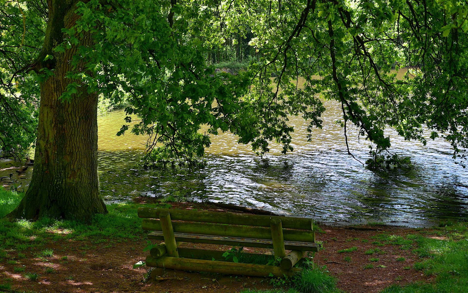 Download Photography Park HD Wallpaper | 2560x1600 | Wallpaper Abyss