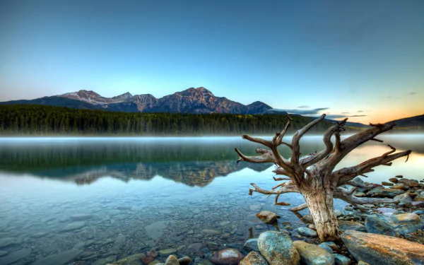 clear cache Desktop Wallpapers, Phone Wallpaper, PFP, Gifs, and More At ...