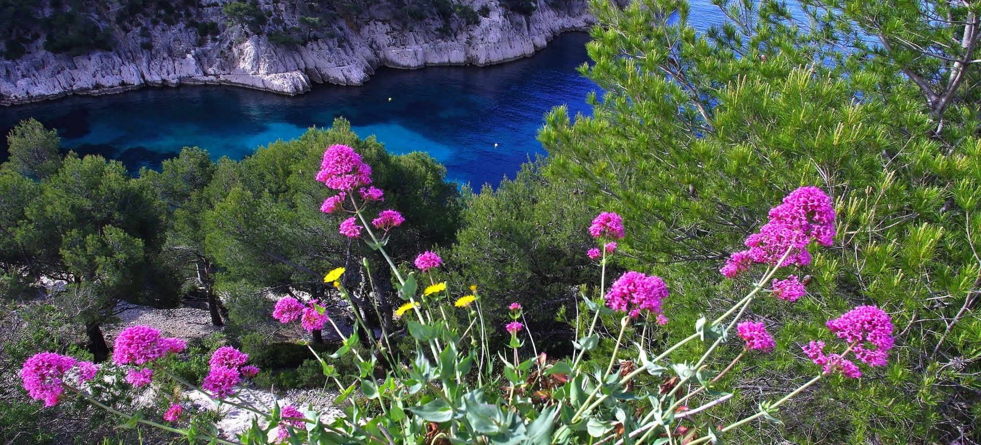Calanque Wallpapers