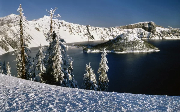 [50+] Oregon Wallpapers