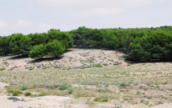 [70+] Algeria 4k Wallpapers