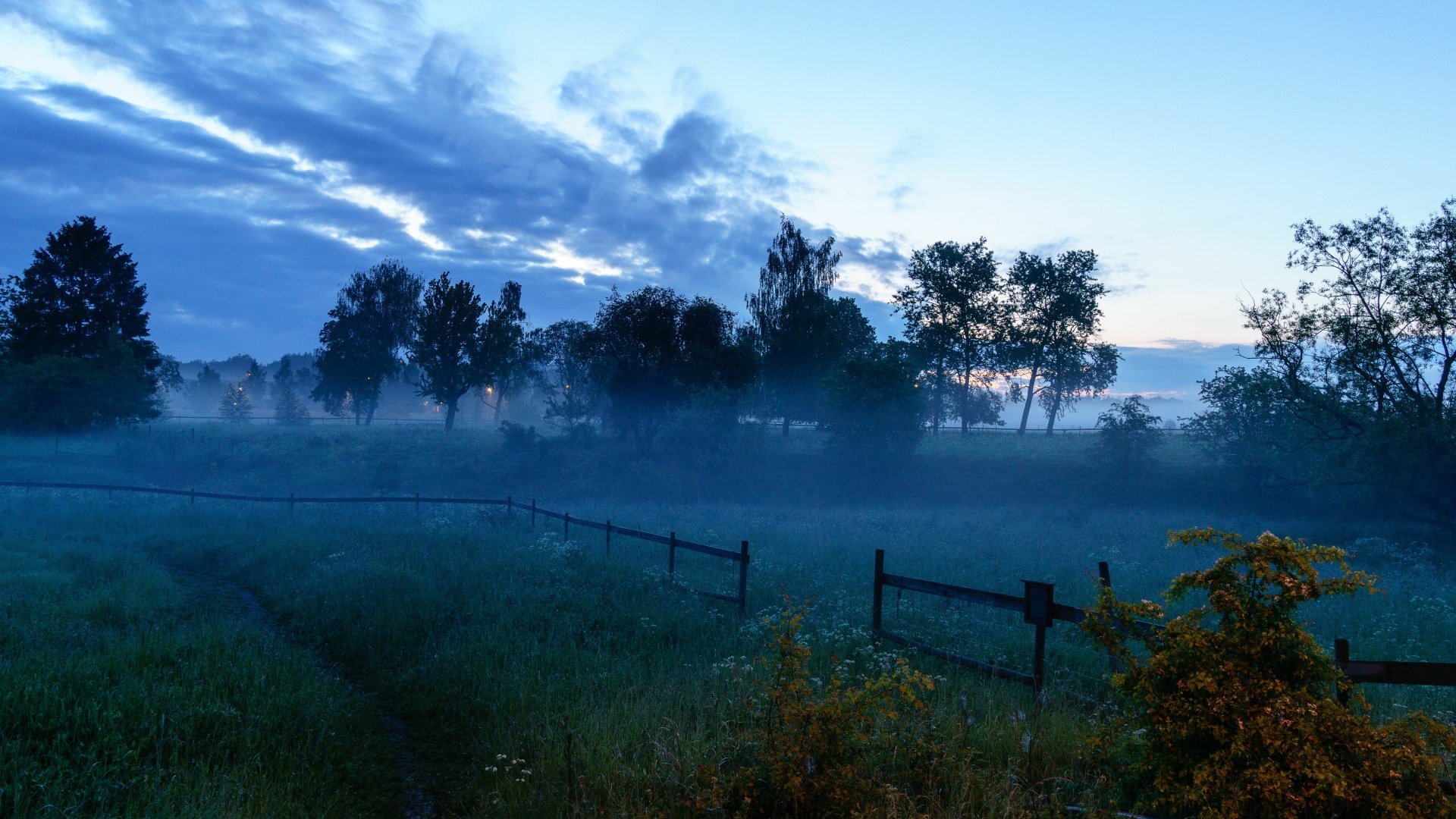 Download Nature Fog 4k Ultra HD Wallpaper