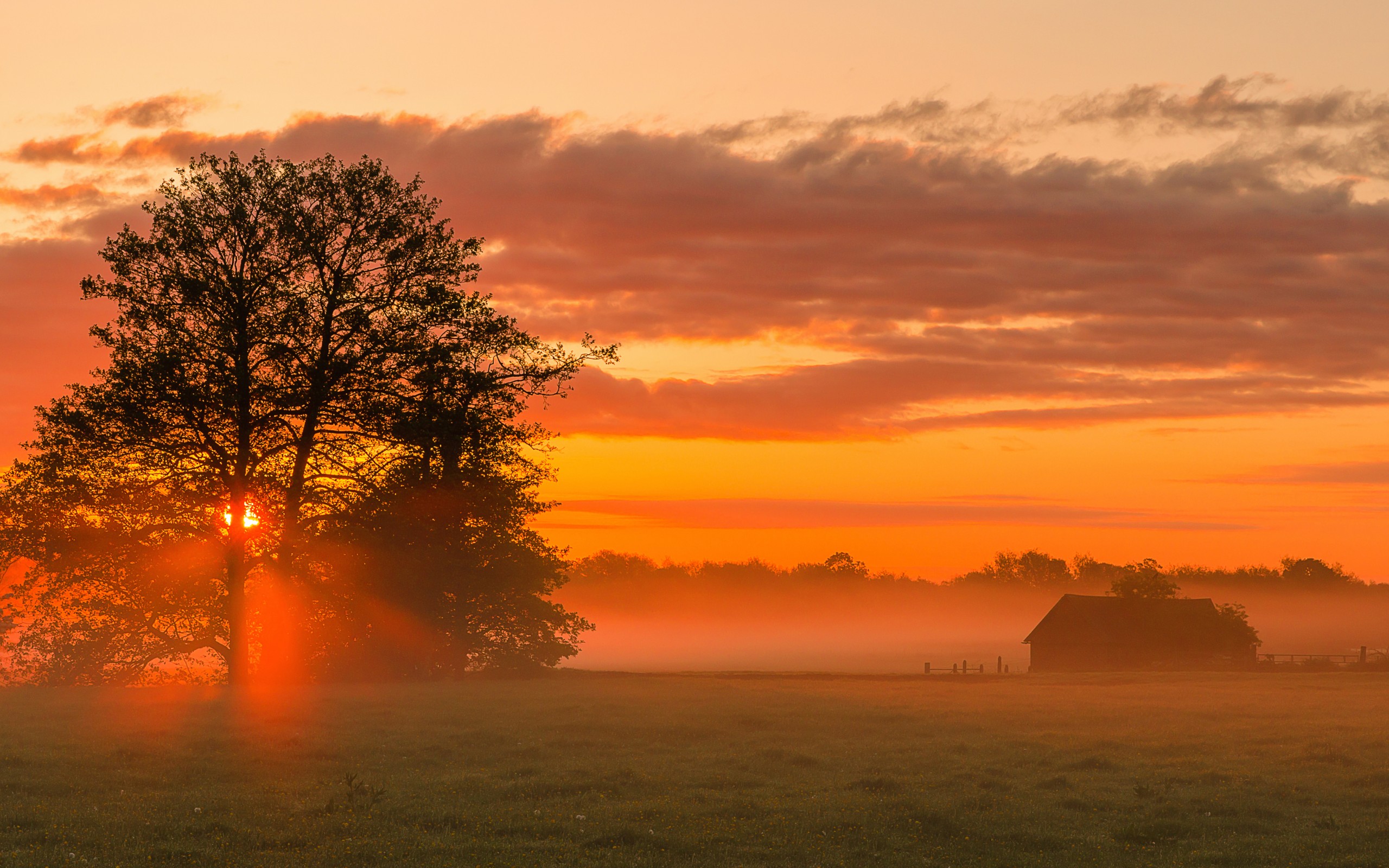 HD Sunset Photography: Radiant Golden Hour Landscape Wallpaper