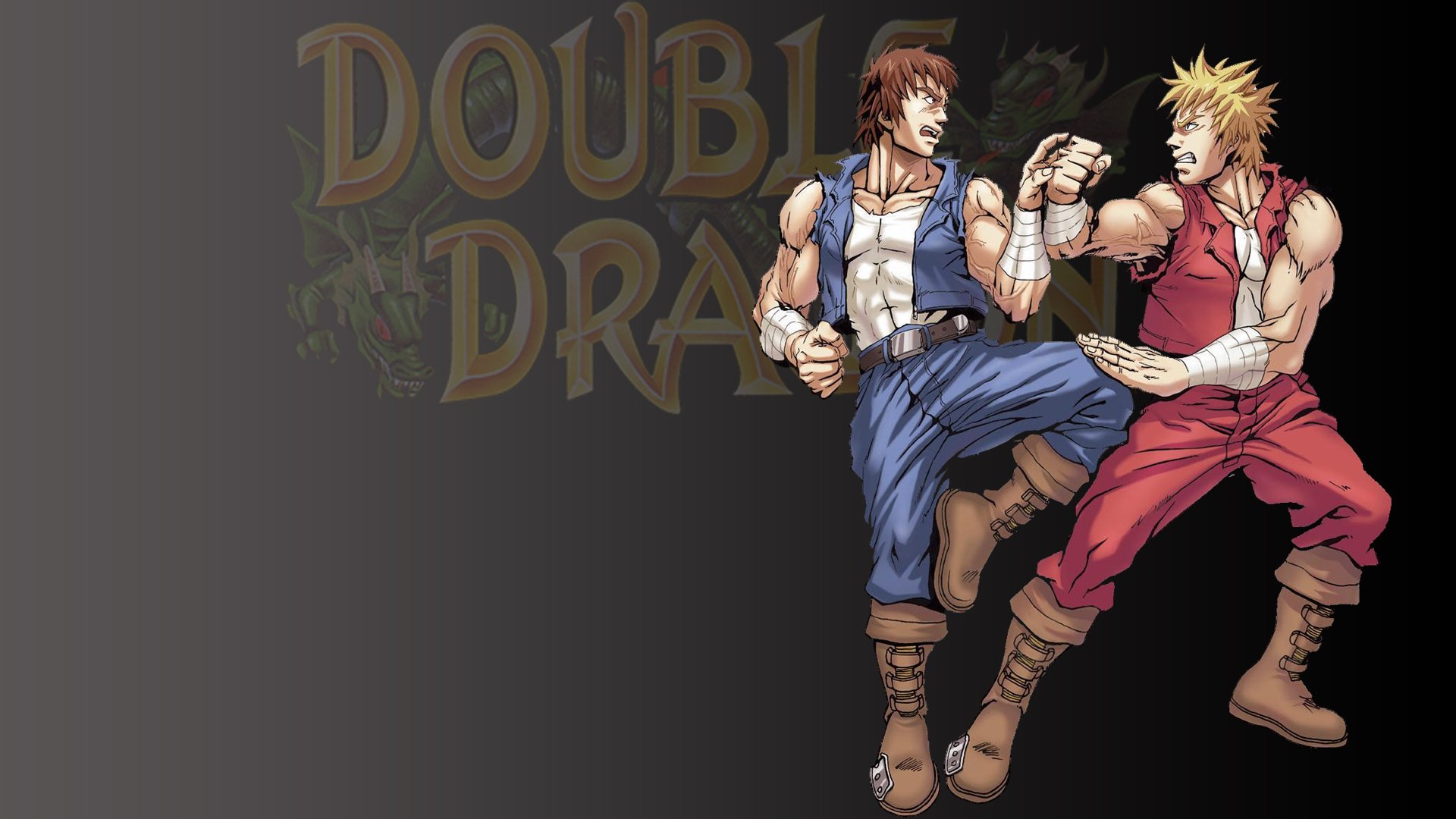 Download Video Game Double Dragon HD Wallpaper